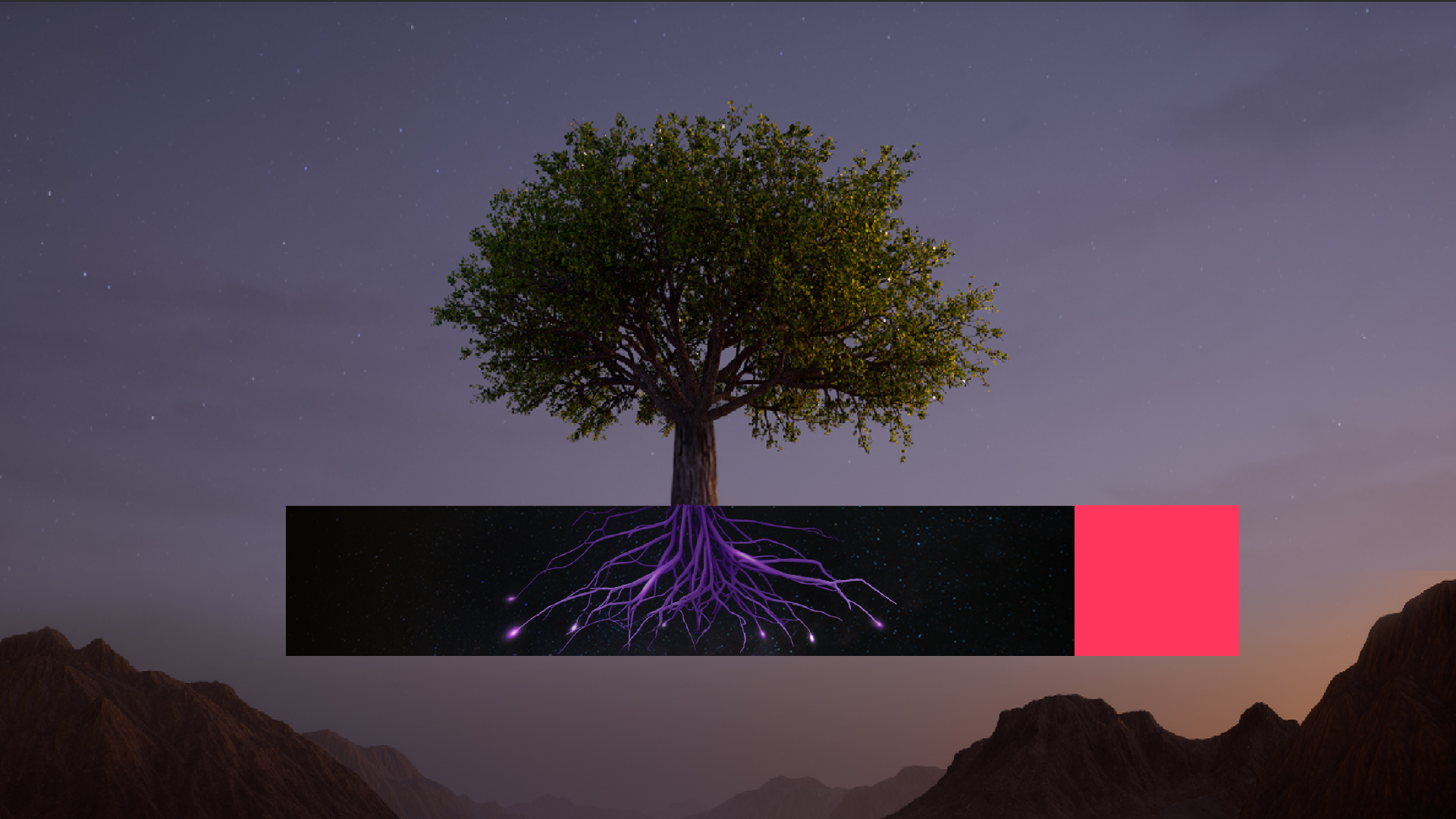 إعلانات الحبار